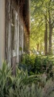Celebrate Inspiration With A Vibrant Dream Life House Design – Your ...